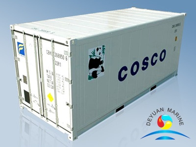20ft Standard Reefer Container from China manufacturer - China Deyuan ...