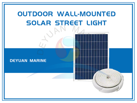 D Series Outdoor Wall-mounted Solar Street Light from China ...